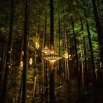 Rotorua: Redwoods Adventure 3-Hours - Who Will Love This Experience?