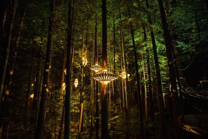 Rotorua: Redwoods Adventure 3-Hours - Who Will Love This Experience?