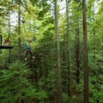 Rotorua: Redwoods Altitude High Ropes Adventure - Practical Tips for Your Visit