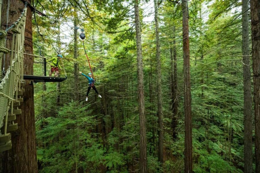 Rotorua: Redwoods Altitude High Ropes Adventure - Practical Tips for Your Visit