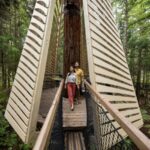 Rotorua: Redwoods Altitude, Nighttime Fast Pass, & Treewalk - The Nightlights Experience: An Evening of Magic