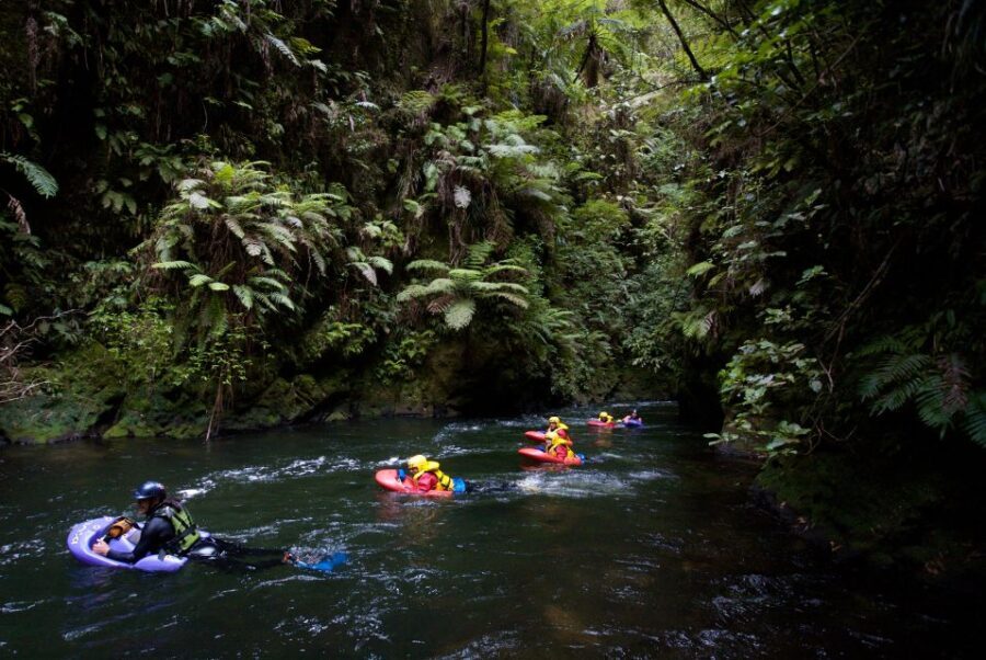 Rotorua Sledging: Kaituna White Water River Board Experience - Scenic Beauty and Cultural Lessons
