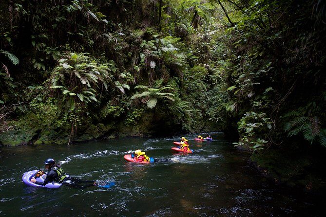 Rotorua Sledging White Water Sledging | Kaitiaki Adventures - How Does It Compare Value-Wise?