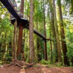 Rotorua & Taupo:Wai-O-Tapu, Redwood Walk & Hukka falls Tour - How This Tour Fits into Your Travel Plans