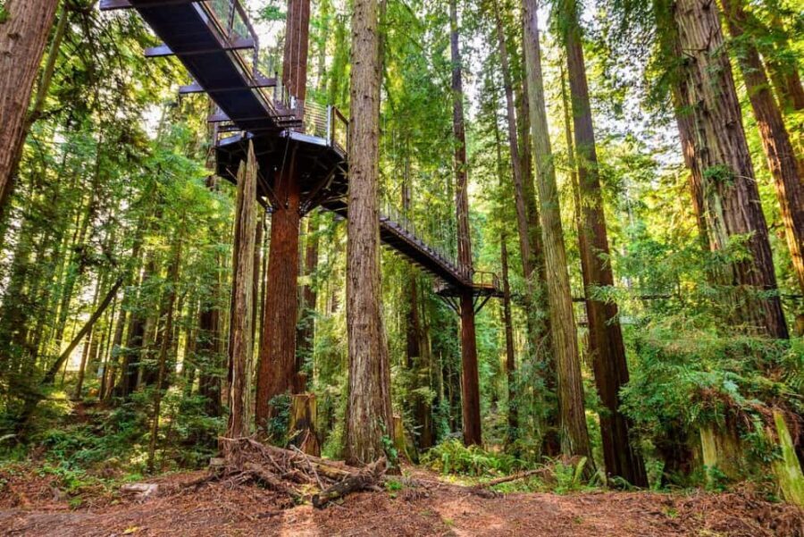Rotorua & Taupo:Wai-O-Tapu, Redwood Walk & Hukka falls Tour - How This Tour Fits into Your Travel Plans