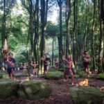 Rotorua: Te Pa Tu Mori Cultural Experience with Dinner - The Cultural Performance — Why It Matters