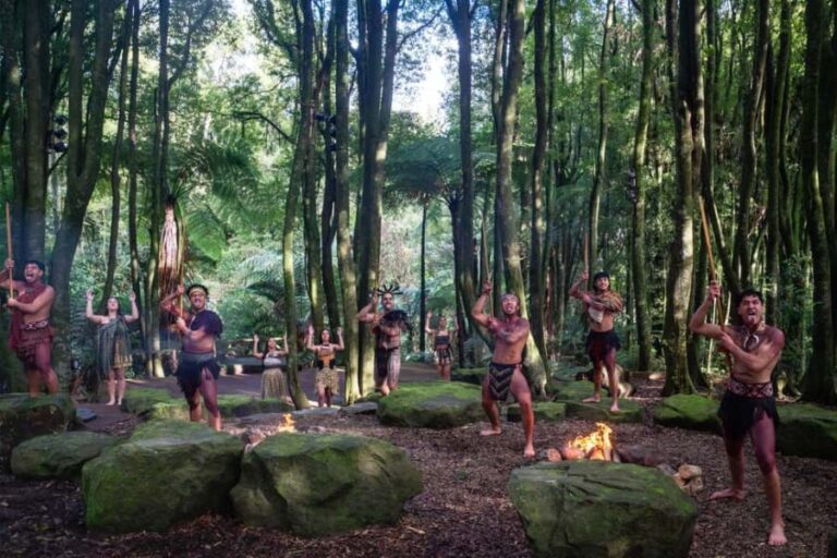 Rotorua: Te Pa Tu Mori Cultural Experience with Dinner - The Cultural Performance — Why It Matters