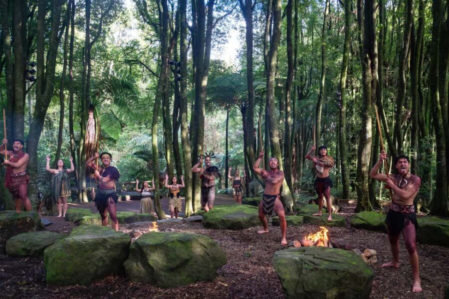 Rotorua: Te Pa Tu Mori Cultural Experience with Dinner - The Cultural Performance — Why It Matters