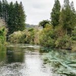 Rotorua: 'Thermal Path Tour' Geothermal half day Tour - The Practicalities: What to Expect and Tips