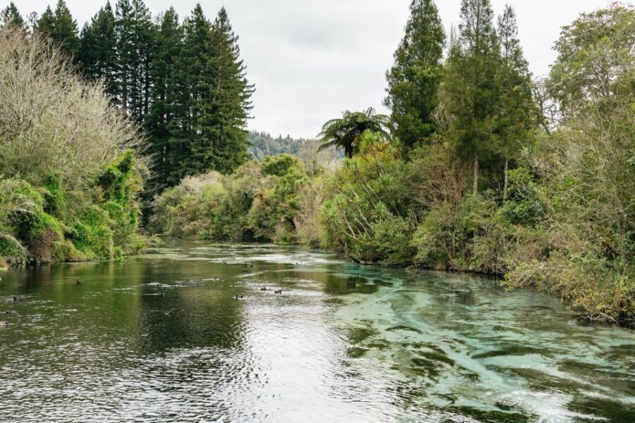 Rotorua: 'Thermal Path Tour' Geothermal half day Tour - The Practicalities: What to Expect and Tips