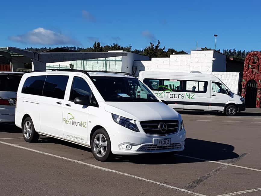 Rotorua to Auckland - Afternoon Transfer with Waitomo Caves - The Itinerary: What to Expect