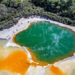 Rotorua: to Auckland via WaiOTapu, Taupo & Hamilton Gardens - What the Tour Includes and Excludes