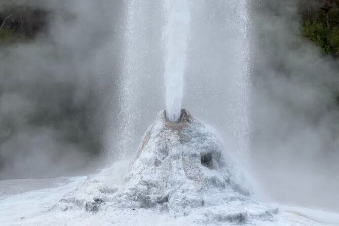 Rotorua to Wai-o-Tapu Thermal Wonderland Shuttle - Who Is This Tour Best For?