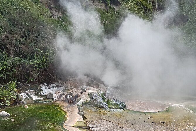 Rotorua to Waimangu Volcanic Valley Morning Shuttle - The Self-Guided Walk: What to Expect