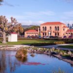 Rotorua Tour from Auckland with buffet Lunch at Skyline Summit - Who Should Consider This Tour?