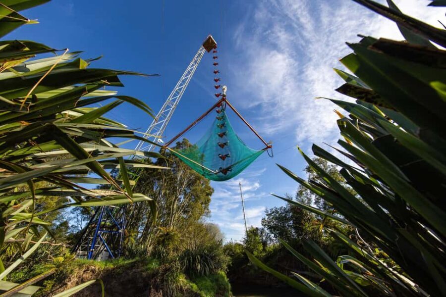 Rotorua: Velocity Valley - NEW Vertigo 43m drop - The Experience from the Travelers Perspective