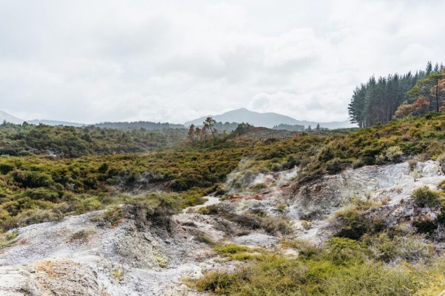 Rotorua: Wai-O-Tapu Geothermal Park Entry Ticket - Exploring the Geothermal Landscape