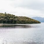 Rotorua: Waimangu Volcanic Valley Ticket & Self-Guided Walk - The Highlights of the Self-Guided Walk