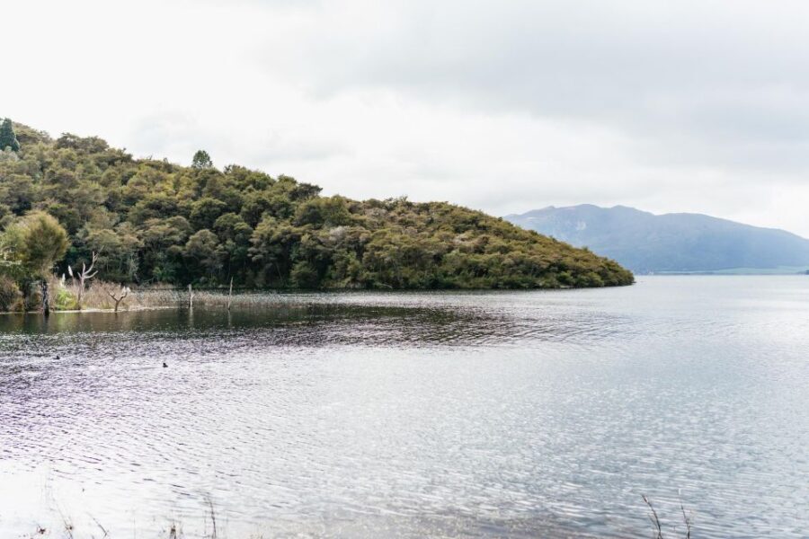 Rotorua: Waimangu Volcanic Valley Ticket & Self-Guided Walk - The Highlights of the Self-Guided Walk
