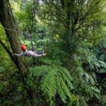Rotoruas Original 3hr Unique Ancient Forest Zipline Adventure - Itinerary Breakdown: What to Expect