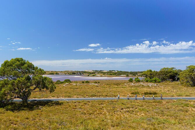Rottnest Coastal Explorer Tour - Authentic Experiences from Travelers