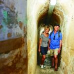 Rottnest Grand Island Package with Ferry, Tour & Light Lunch - The Transport: Comfort and Practicality