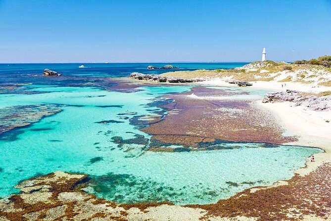 Rottnest Island Bayseeker Day Trip from Fremantle - Free Time and Island Exploration