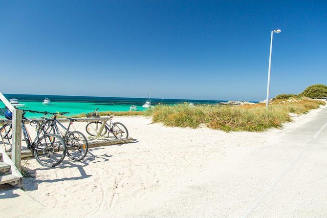 Rottnest Island Bayseeker Day Trip from Perth - The Guided Bus Tour: Covering the Main Sights