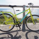 Rottnest Island Fast Ferry from Hillarys Boat Harbour Including Bike Hire - Who is This Tour Best For?