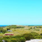 Rottnest Island: Grand Bus and Train Tour with Lunch - Exploring the Itinerary: What to Expect