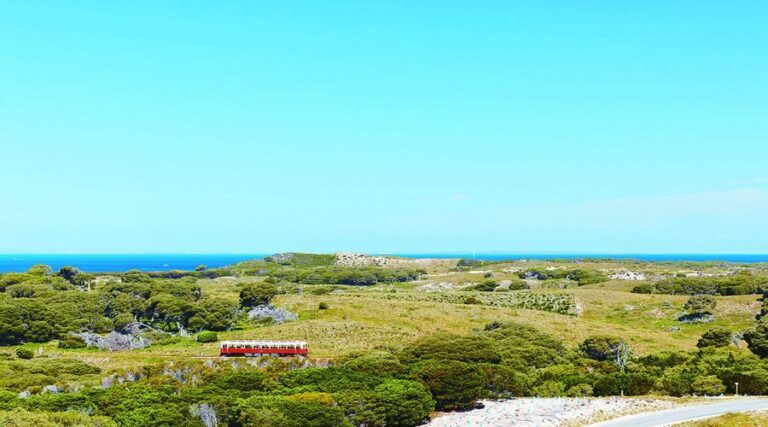 Rottnest Island: Grand Bus and Train Tour with Lunch - Exploring the Itinerary: What to Expect