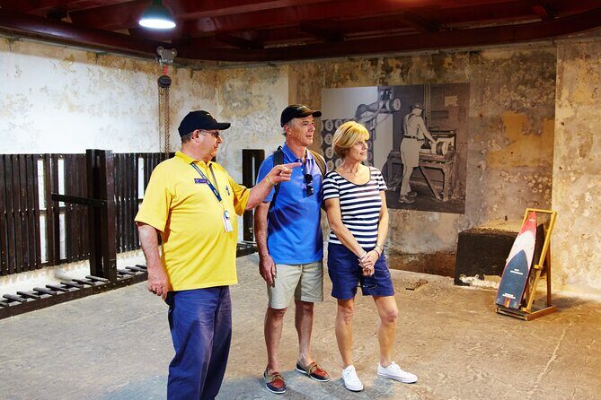 Rottnest Island Historical Train and Tunnel Tour from Hillarys Boat Harbour - The Value and Who This Tour Suits Best