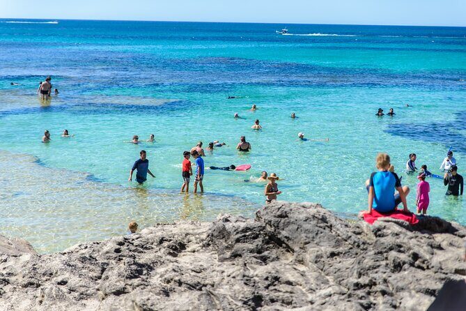 Rottnest Island Roundtrip Fast Ferry from Hillarys Boat Harbour - The Sum Up: Who Should Book This Tour?