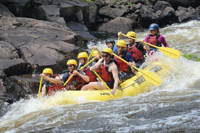 Rouge River Classic Whitewater Rafting Package - The Experience Through the Lens of Reviews