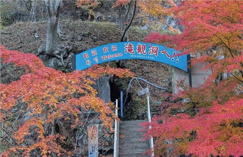 roukandou" Caveing Exploration Regular Course - Exploring the Limestone Caves of Tohoku