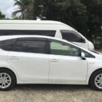 Round trip-Nadi Airport to Pearl Resort or Uprising Resort - Detailed Breakdown of the Experience