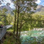 Routeburn Track Guided Hike (Full Day) - An In-depth Look at the Routeburn Track Guided Hike