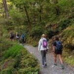 Routeburn Track Guided Walk (Half-Day) - How It Compares to Other Options