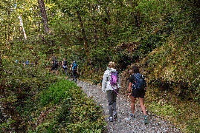 Routeburn Track Guided Walk (Half-Day) - How It Compares to Other Options