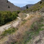 Roxburgh Gorge Bike Hire with Jet Boat & Return Shuttle Included - Pricing, Value, and Practical Considerations