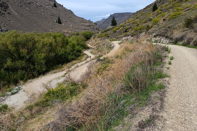 Roxburgh Gorge Bike Hire with Jet Boat & Return Shuttle Included - Pricing, Value, and Practical Considerations
