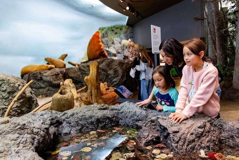 Royal B.C. Museum in Victoria: Full-Day Admission Ticket - Highlights That Make the Museum Special