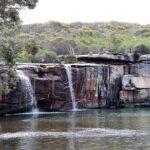 Royal National Park Private Tour - The Value of This Tour