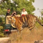 Royal Rajasthan Tour With Wildlife and Taj Mahal - Final Thoughts