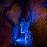 Ruakuri Cave and Hamilton Gardens Private Day Tour from Auckland - A Well-Organized Day from Auckland