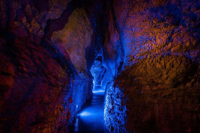 Ruakuri Cave and Hamilton Gardens Private Day Tour from Auckland - A Well-Organized Day from Auckland