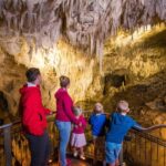 RUAKURI CAVE & HAMILTON GARDENS-PRIVATE TOUR FROM AUCKLAND - Practicalities and Value