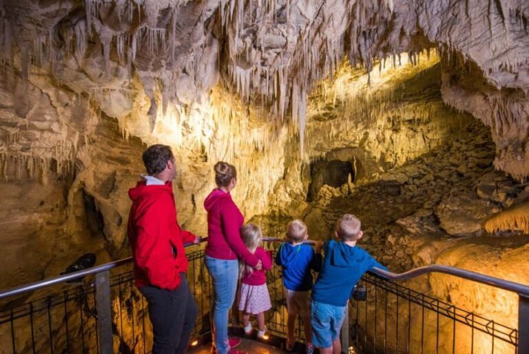 RUAKURI CAVE & HAMILTON GARDENS-PRIVATE TOUR FROM AUCKLAND - Practicalities and Value