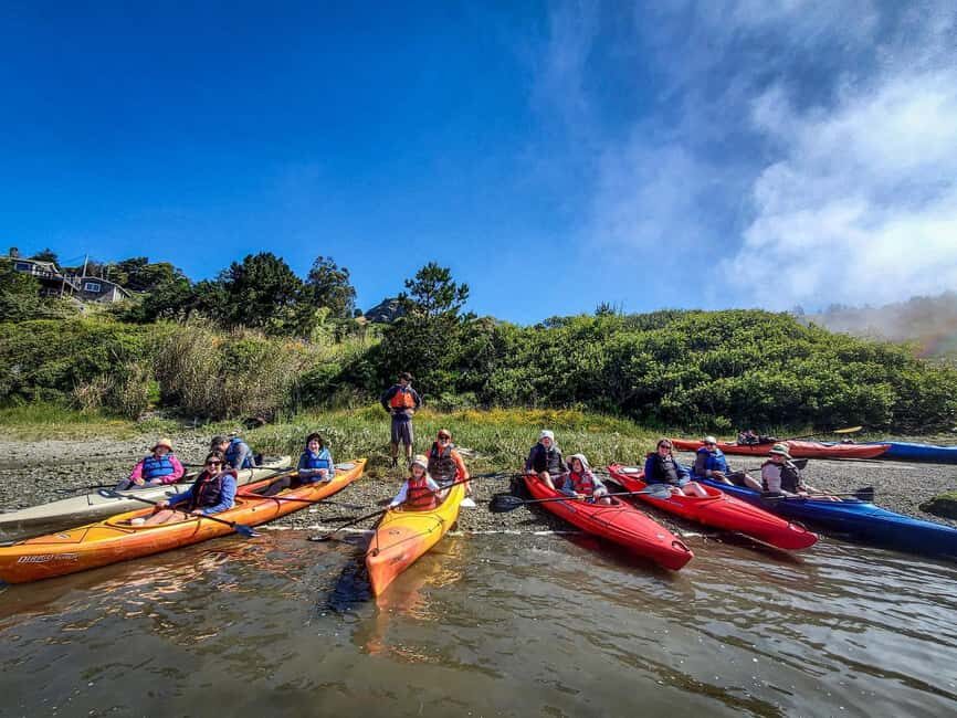 Russian River: Kayak Tour - What the Experience Feels Like