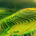 Sa Pa 2-Day Moderate Trek and Homestay Limousine Tour from Hanoi - Is This Tour Right for You?